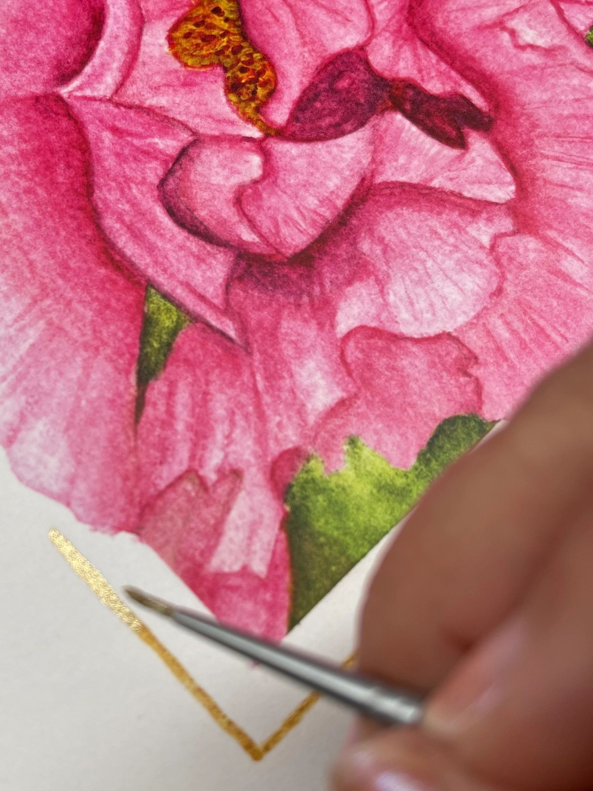 Watercolors by Rosemary Hadland