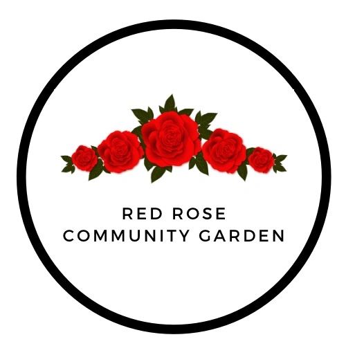 Red Rose Community Garden