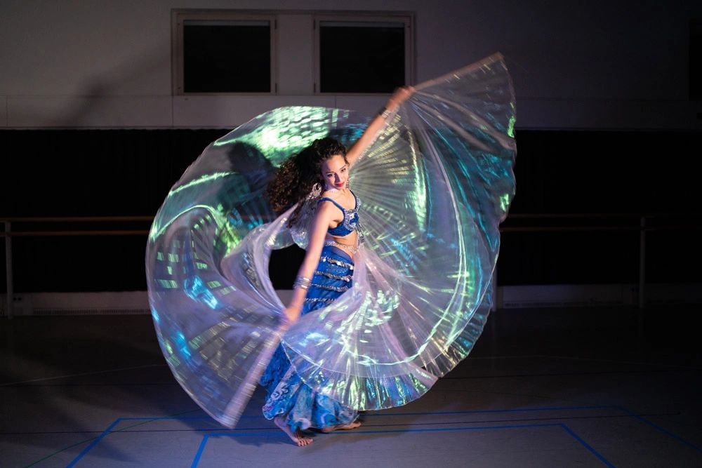 Belly and Bollywood Dancer, Flamenco dancer, Belly Dance Lessons ...