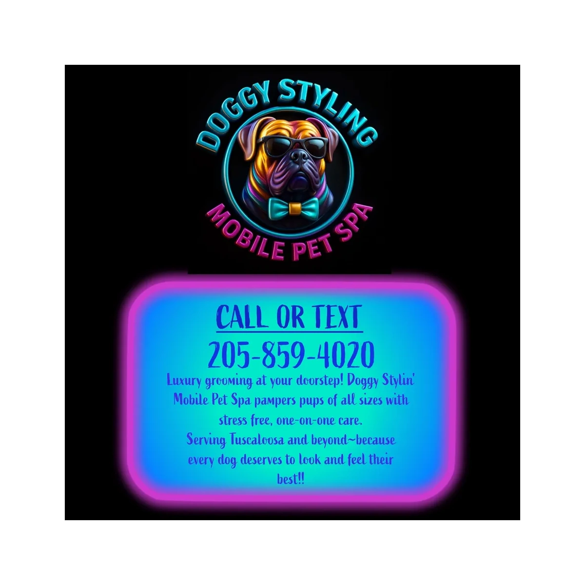 Doggy Stylin Mobile Pet Spa LLC Dog groomer Mobile grooming