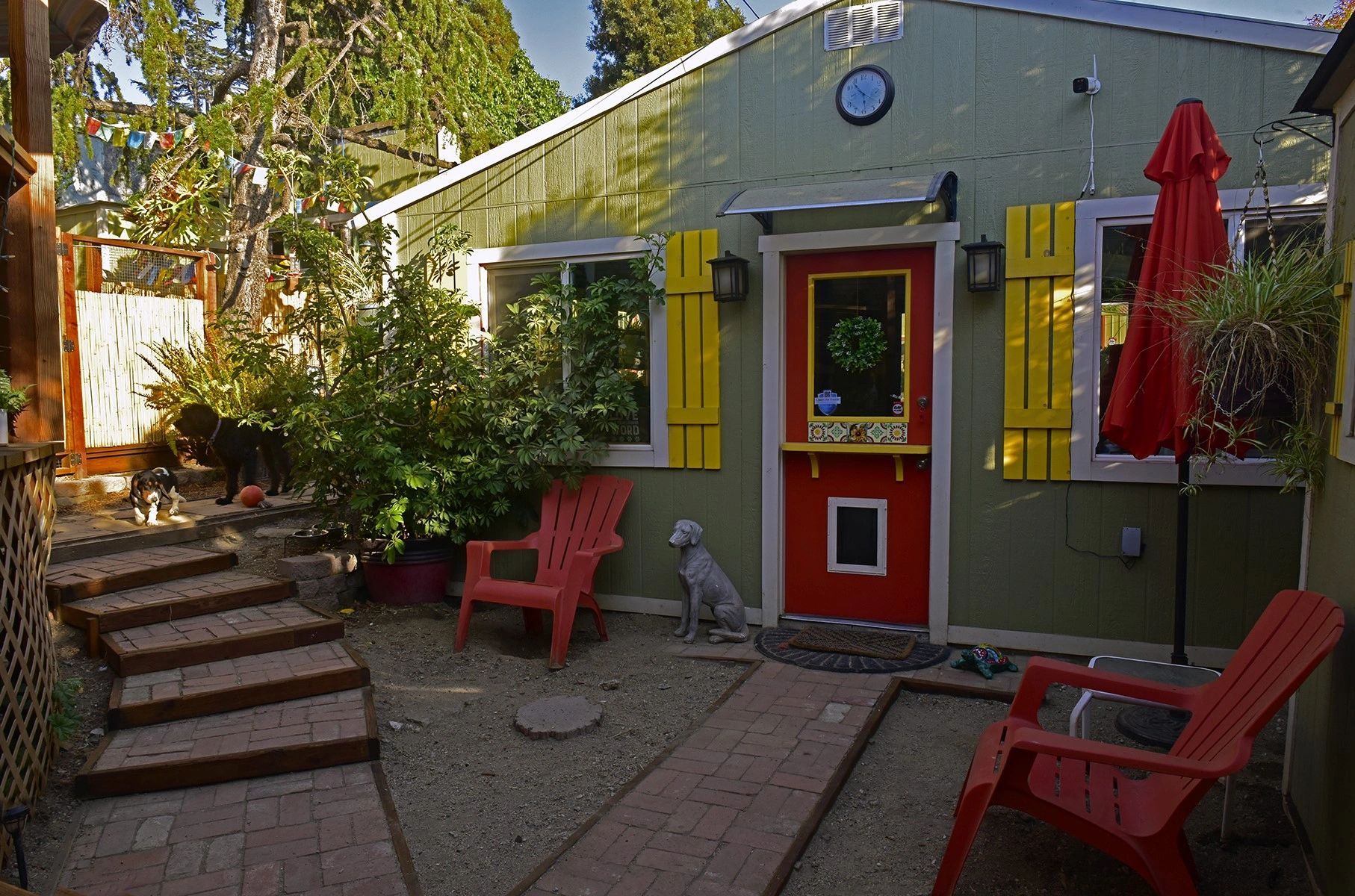 Boarding | Critter Pet Care