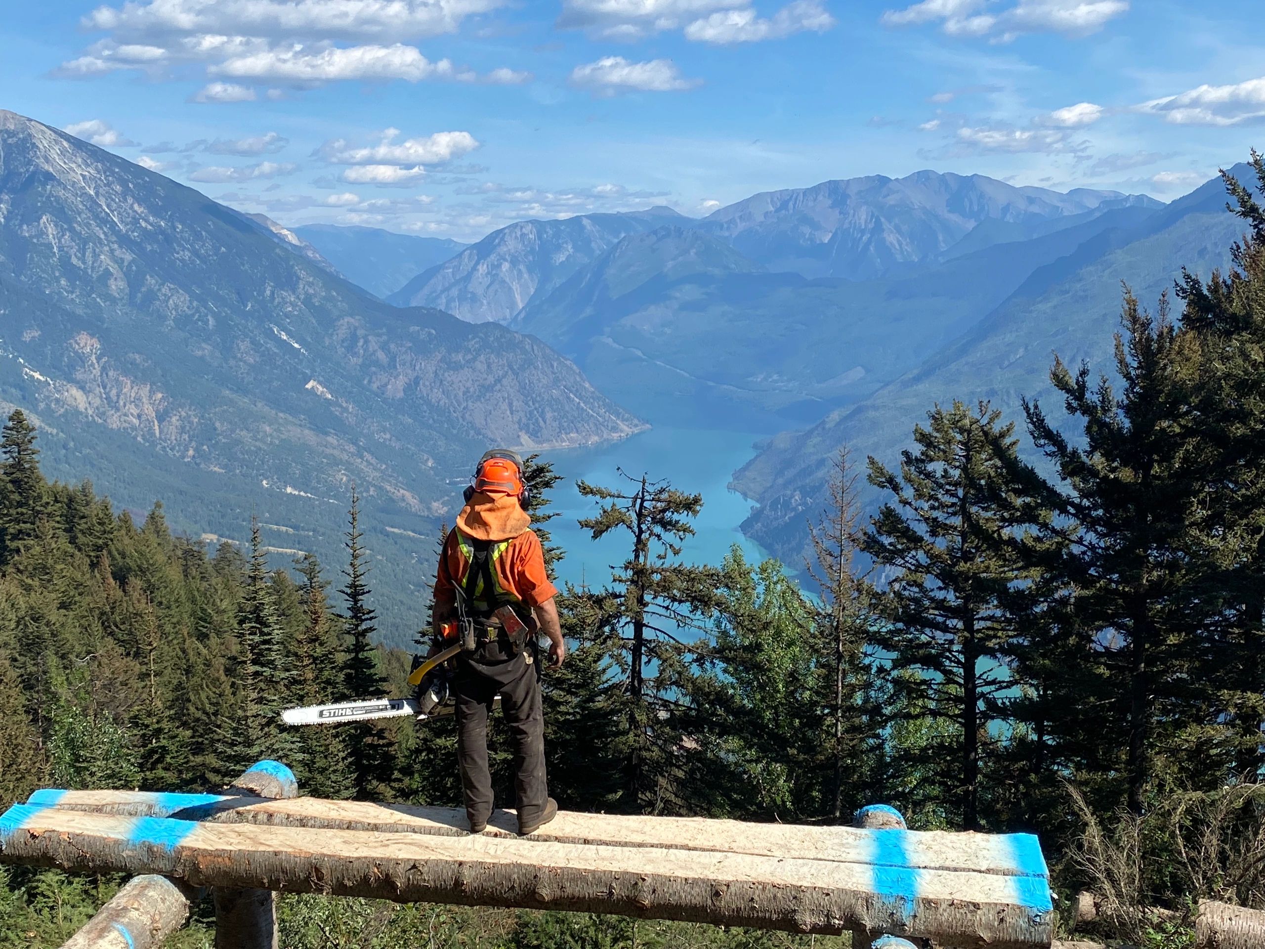 Danger Tree Inc. - Tree Removal, Tree Cutting, Tree Services