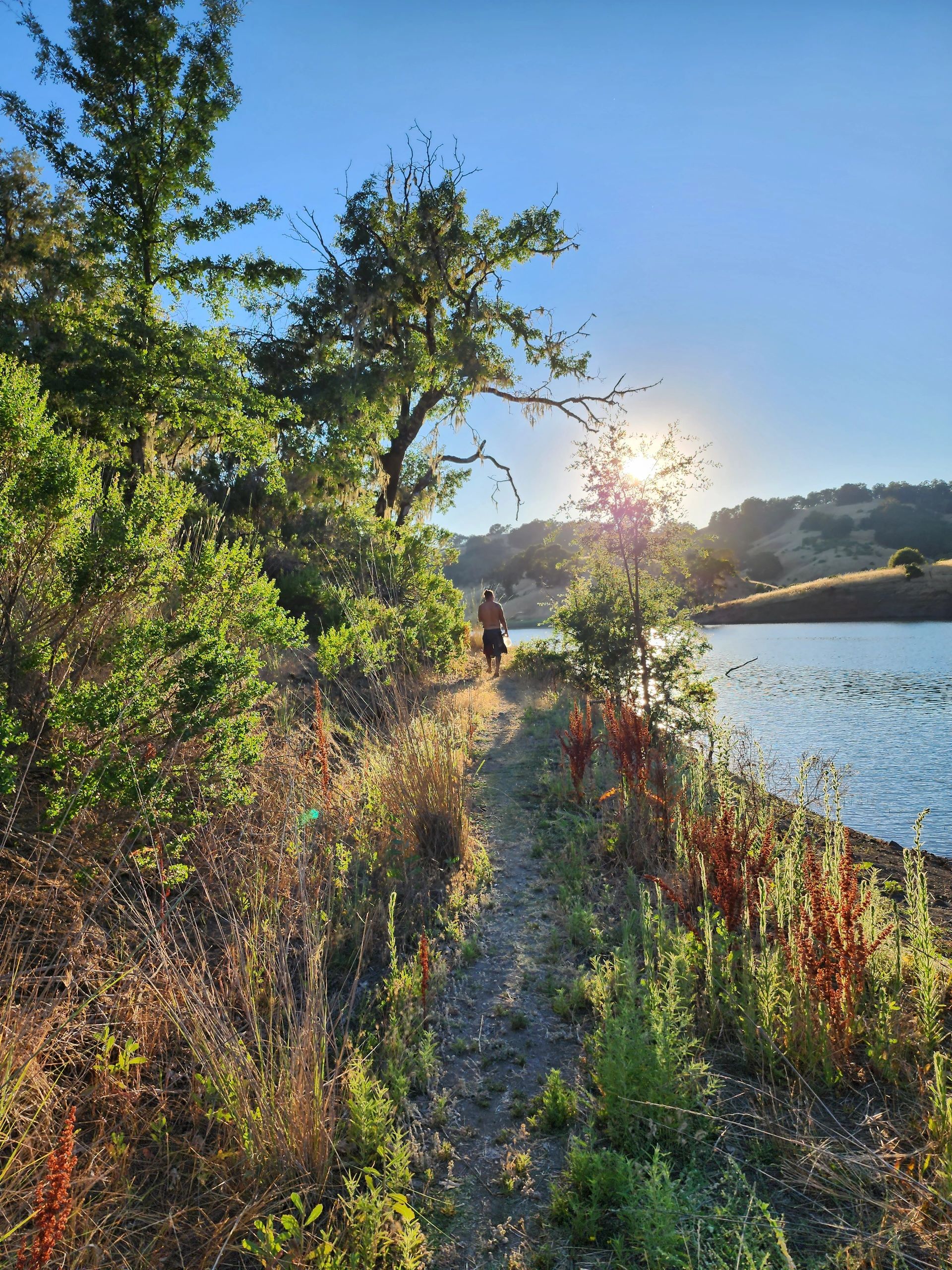 Elevate Your Wellness with Moving Energy Coaching