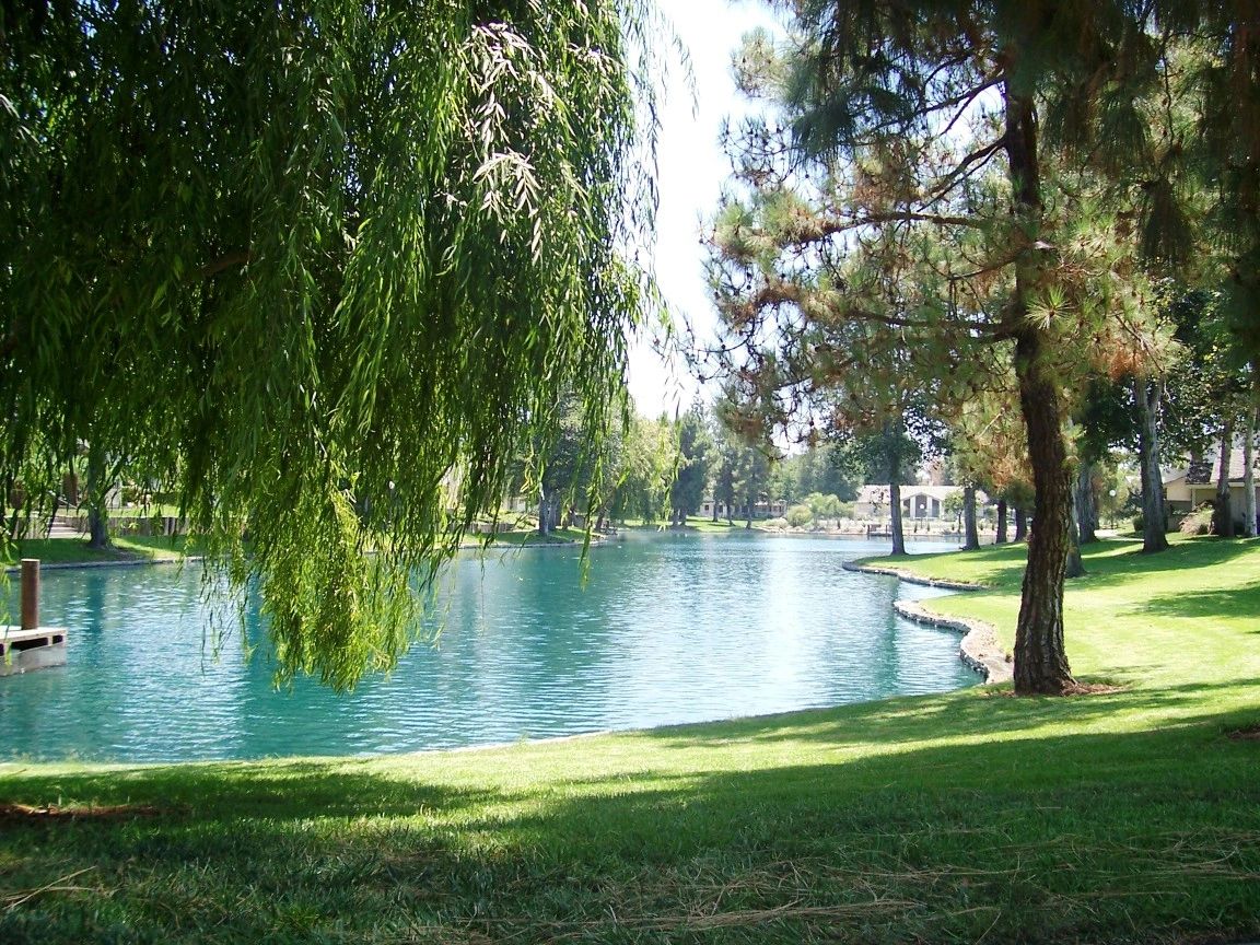 Grounds