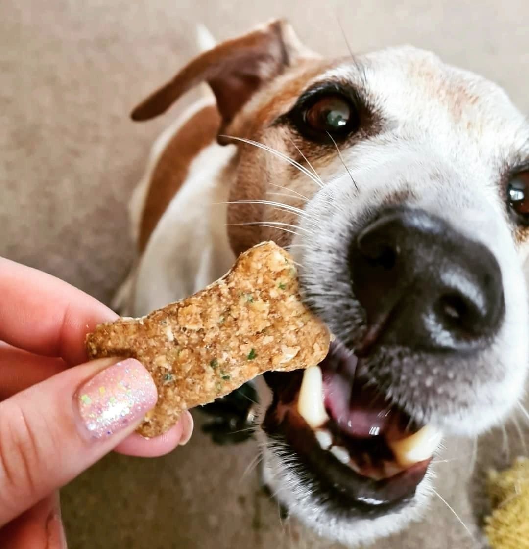 K9 KEIKI BAKES - Home-Baked Dog Biscuits, Dog Treats