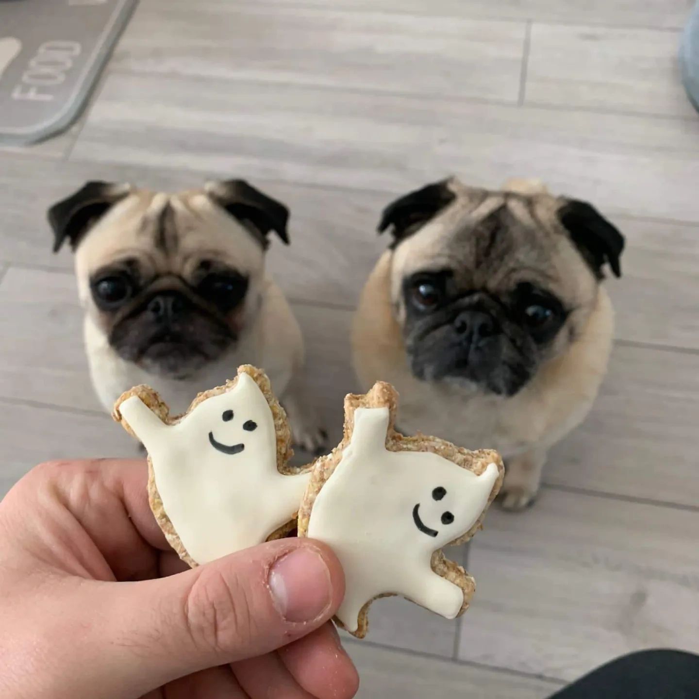 K9 KEIKI BAKES - Home-Baked Dog Biscuits, Dog Treats