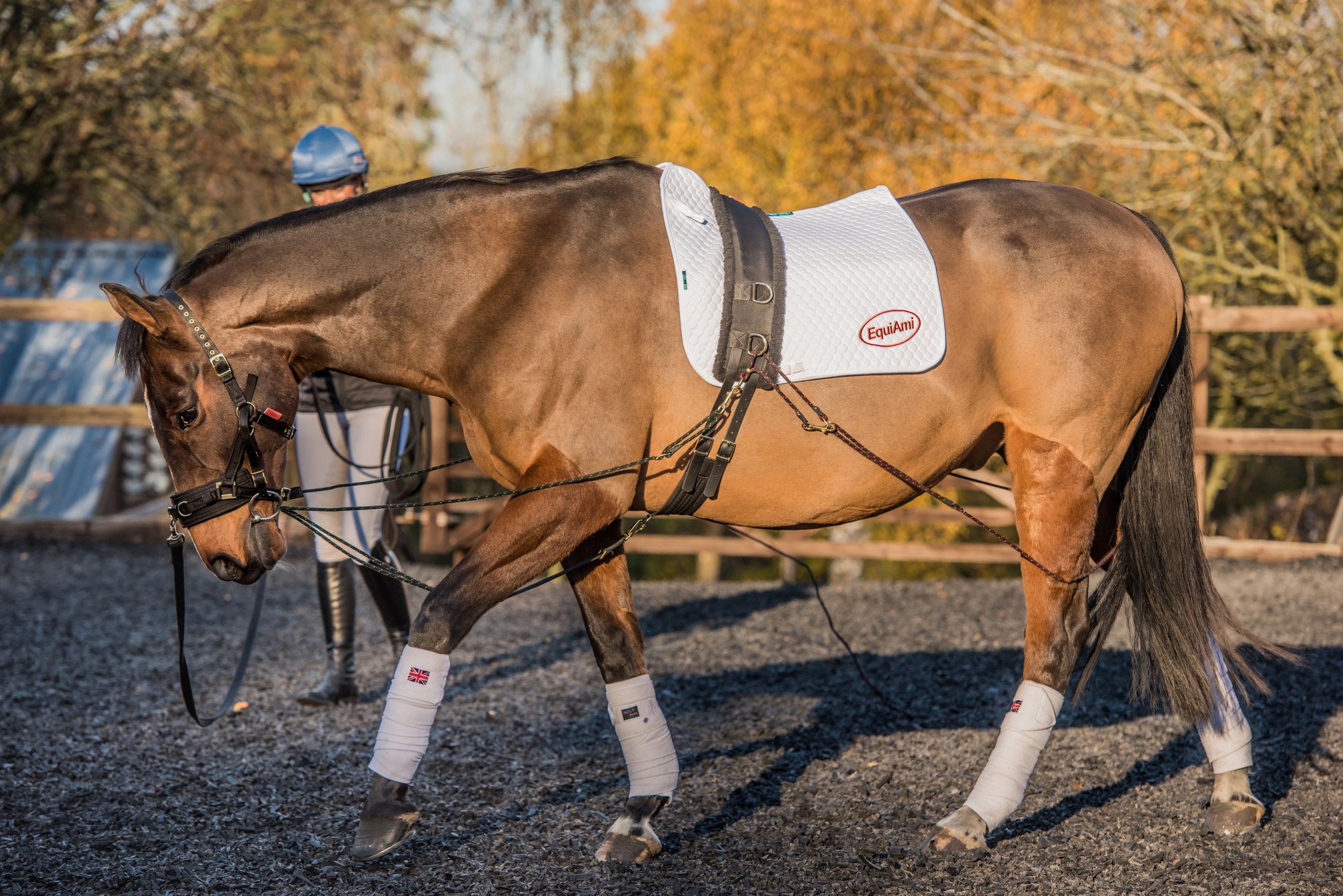 EquiAmi Global Lunge Aid