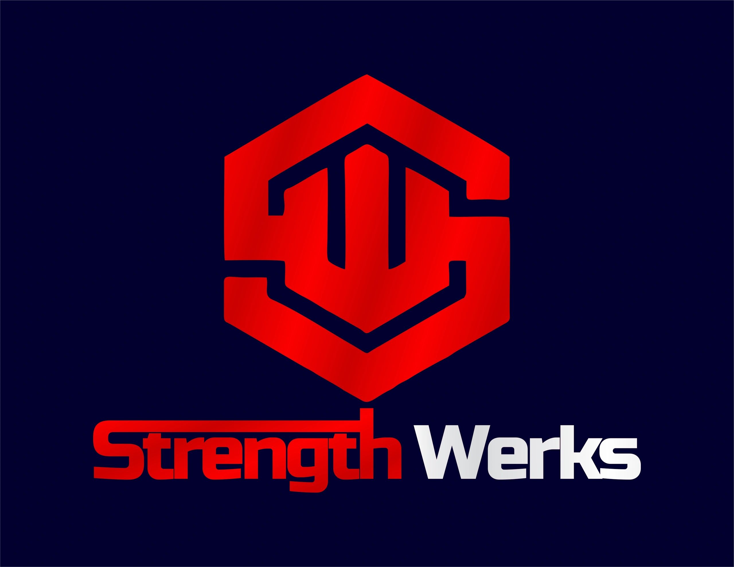 How the program works