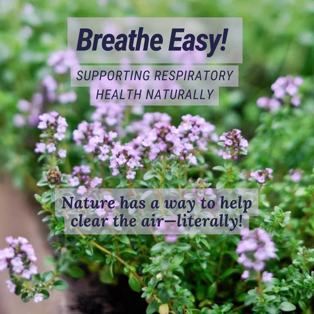 Supporting Respiratory Health Naturally