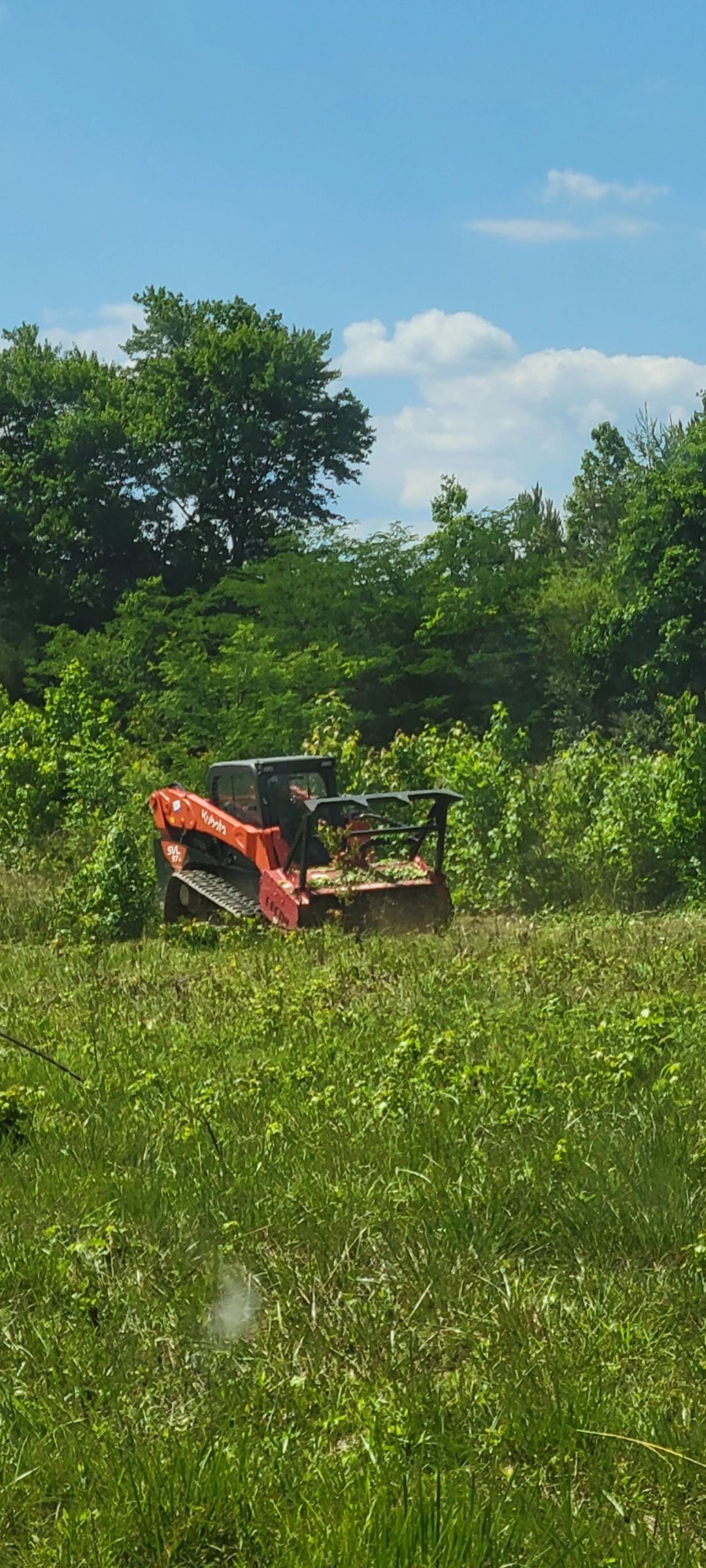 Professional Land Clearing Services