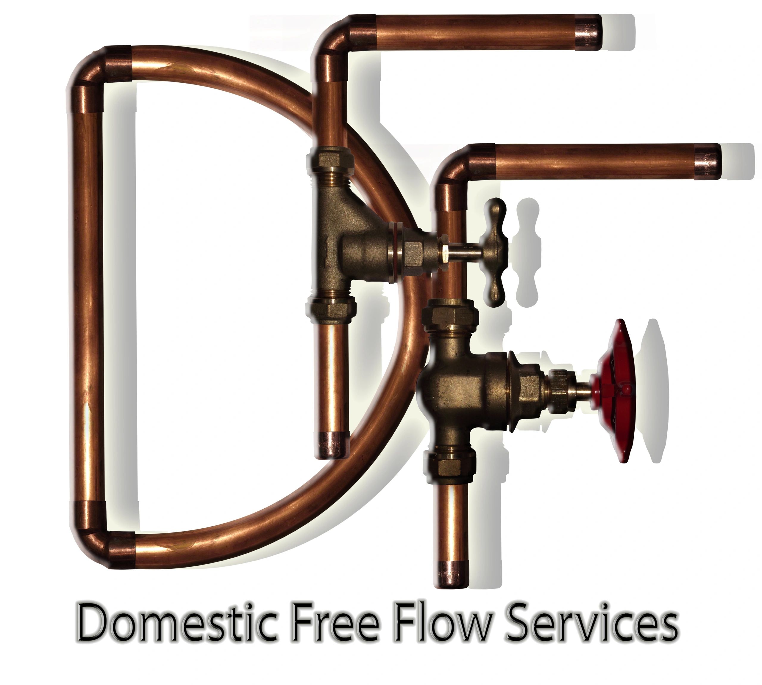 Domestic Free Flow Services Limited
