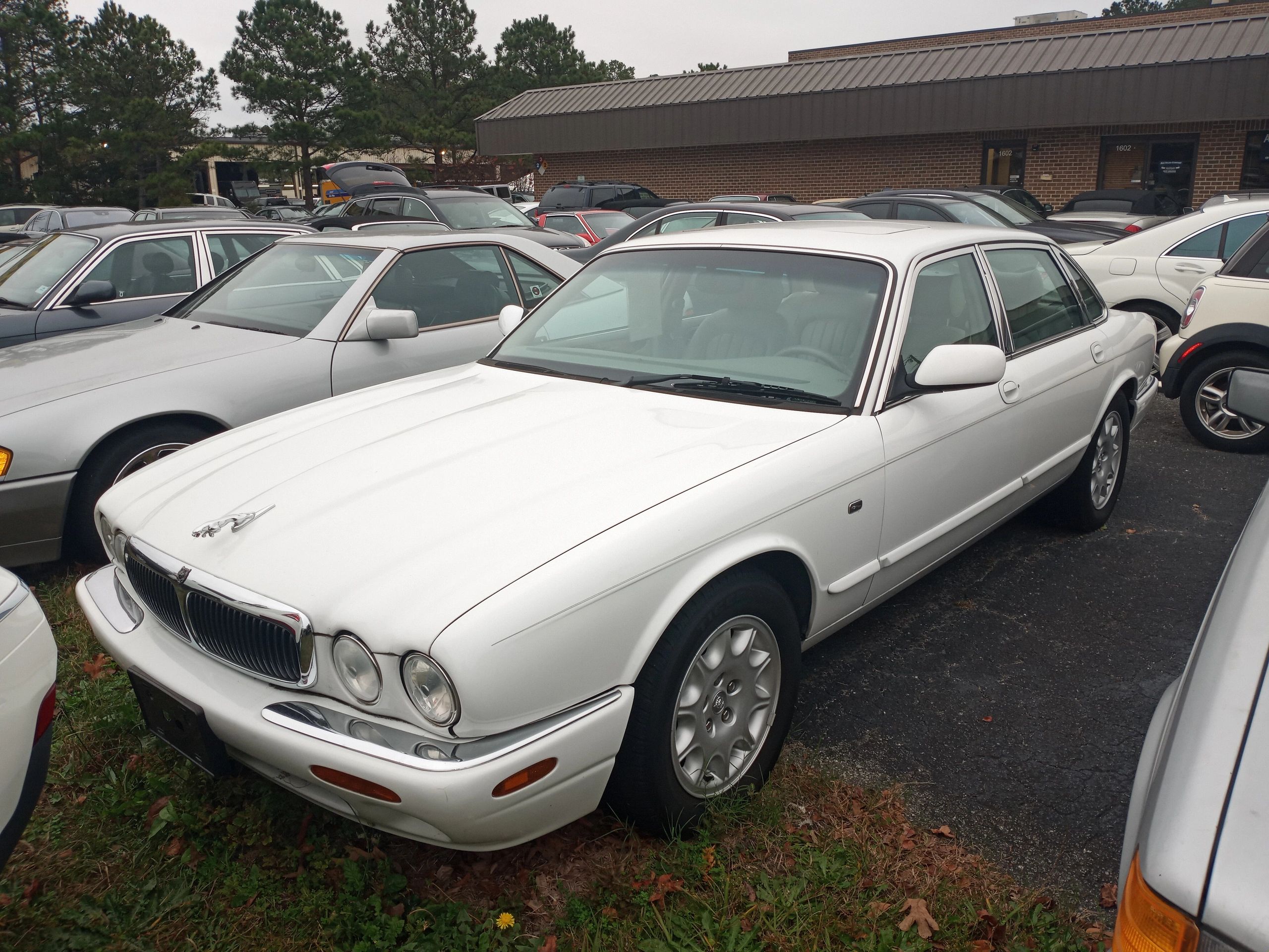 cars | Tony's Foreign Cars