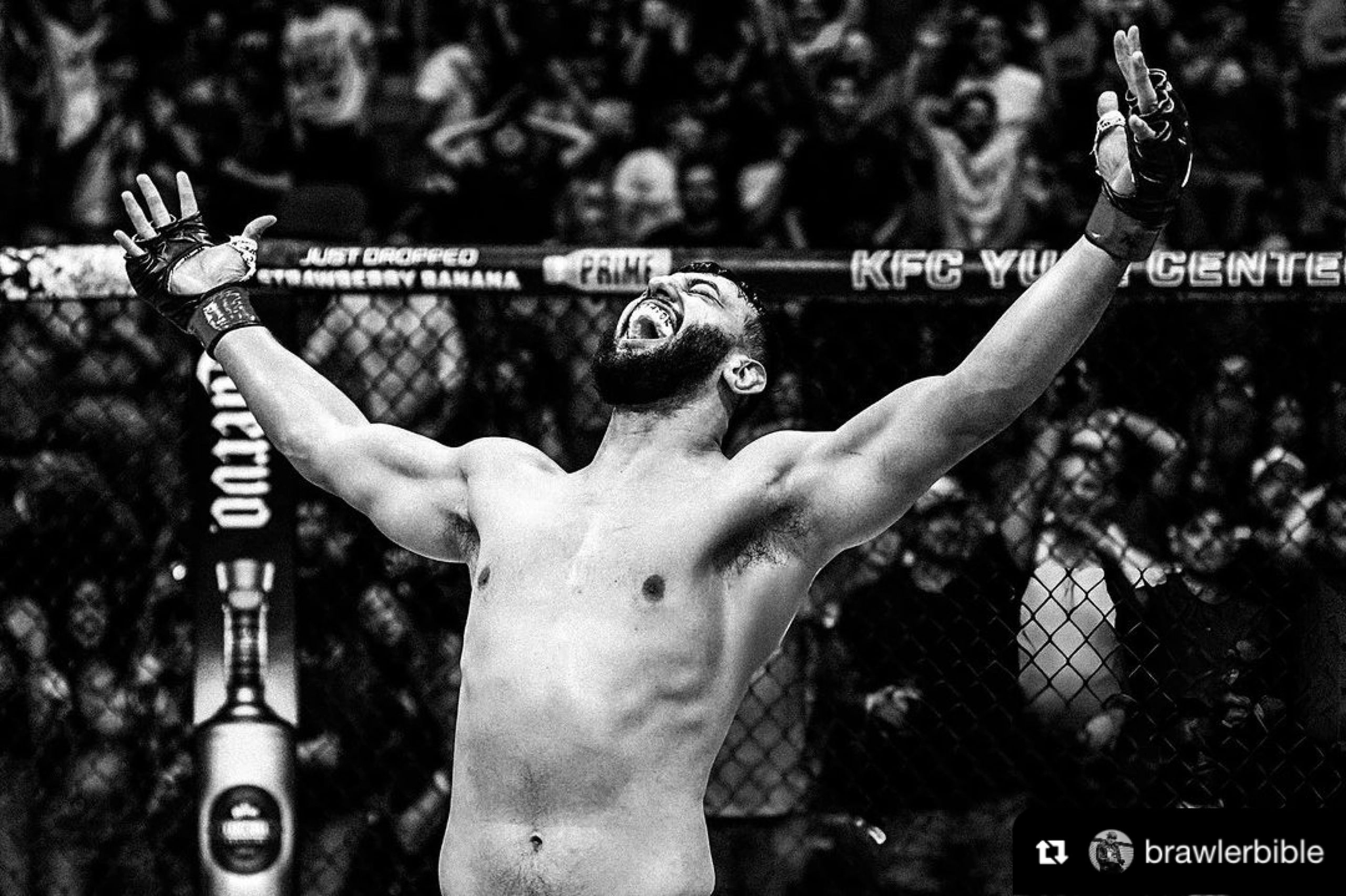 Dom Reyes - Dominick Reyes, Mma Ufc, Ufc, Dominick Reyes