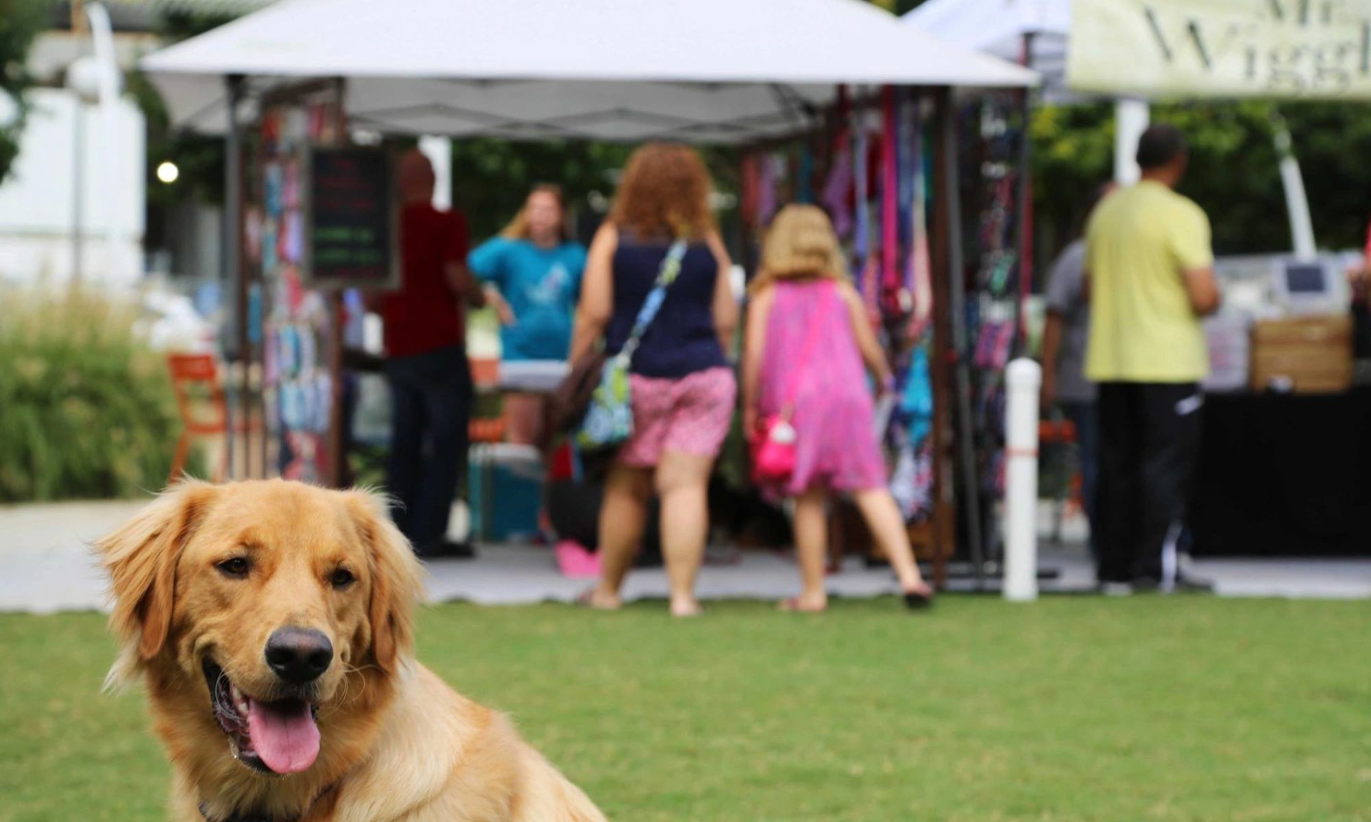 Creating Memorable Brand Experiences with Experiential Marketing