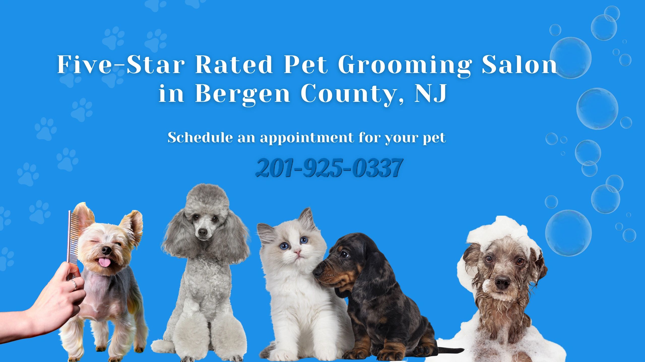 NJ Mobile Pet Groomer Services and Pricing, Our Mobile Grooming Van ...
