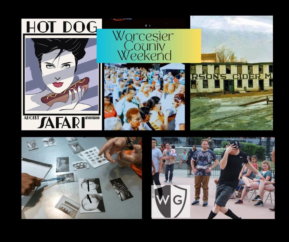 Hot dog safari, big city fests: 5 fun things this weekend