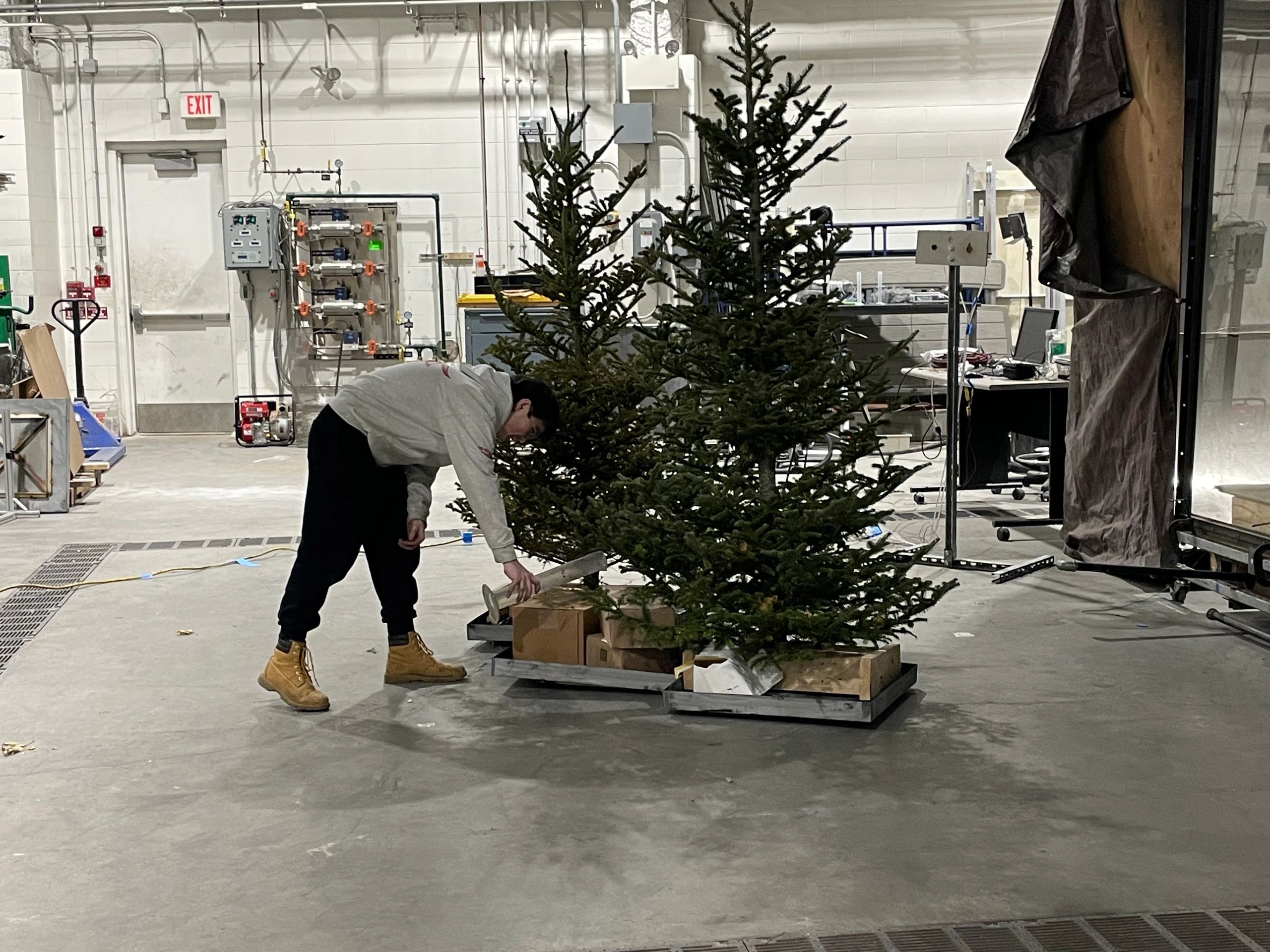 WPI students burn Christmas trees to study safety