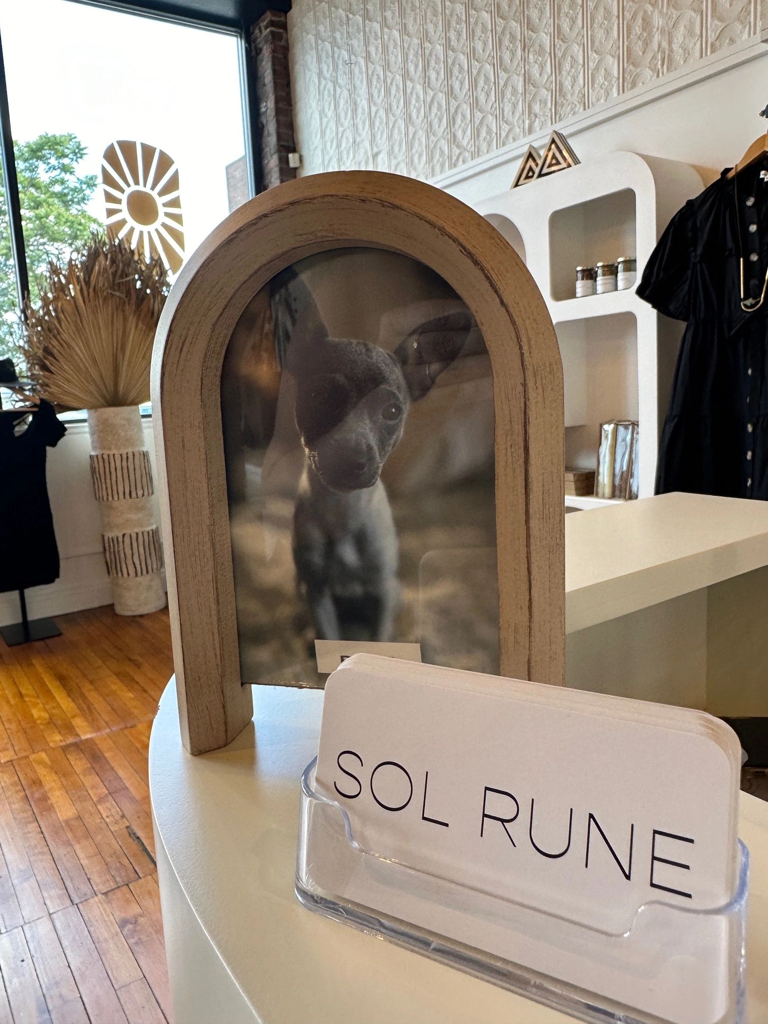 Sol Rune is a cute pup, and a store at Crompton Place