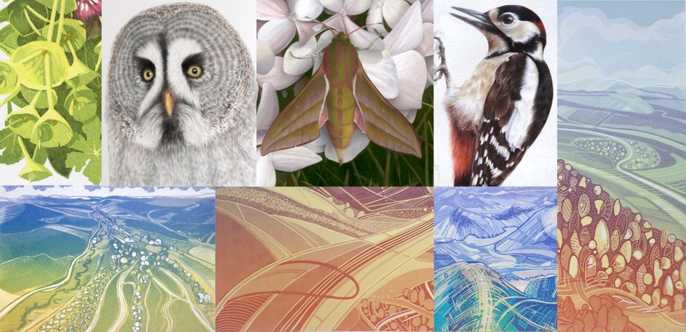 SHOP | Miranda Whitten-Walker Artist