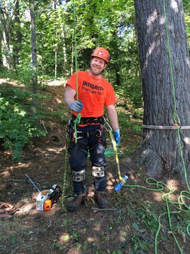 Integrity Tree Care Inc.