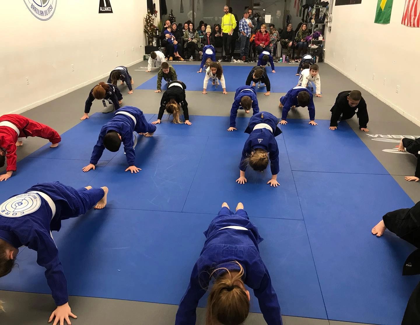 Back Mount/ Back Control