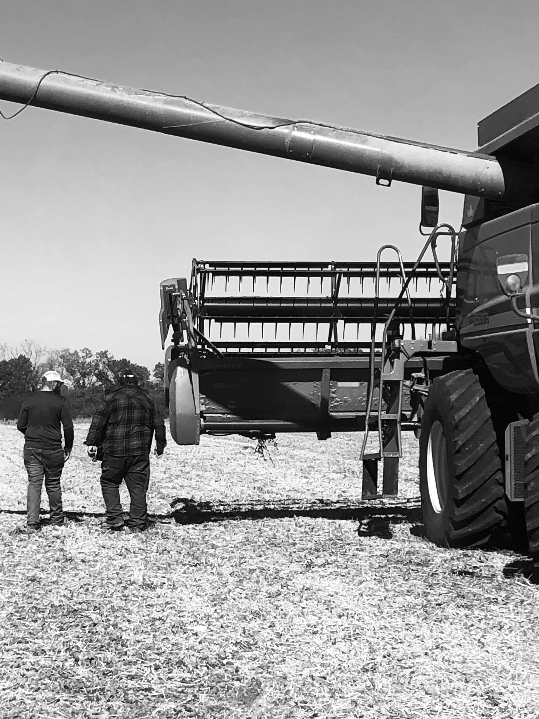 Pasture Raised Pork and Row Crop Farming in Ralls County, MO
