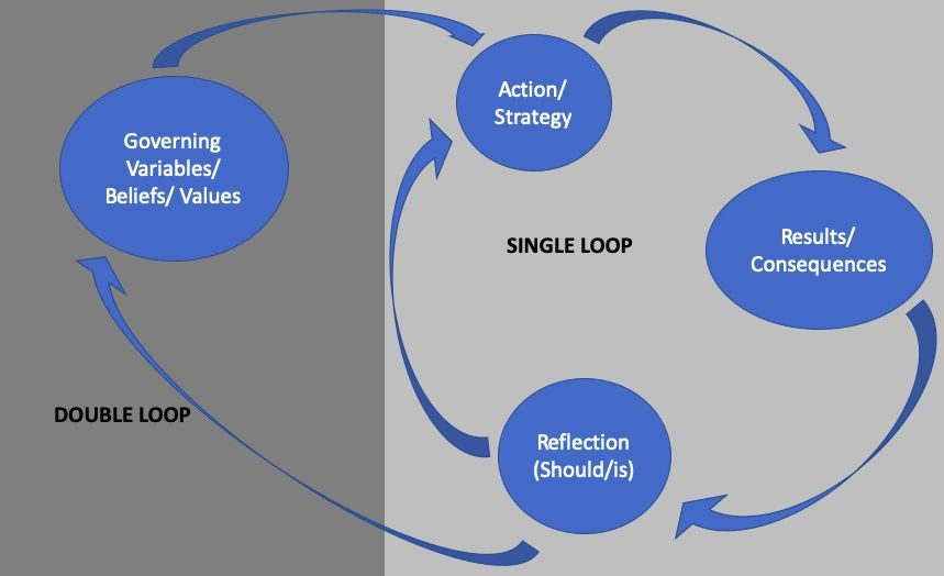 Single Loop and Double Loop Learning in Agile Project Management
