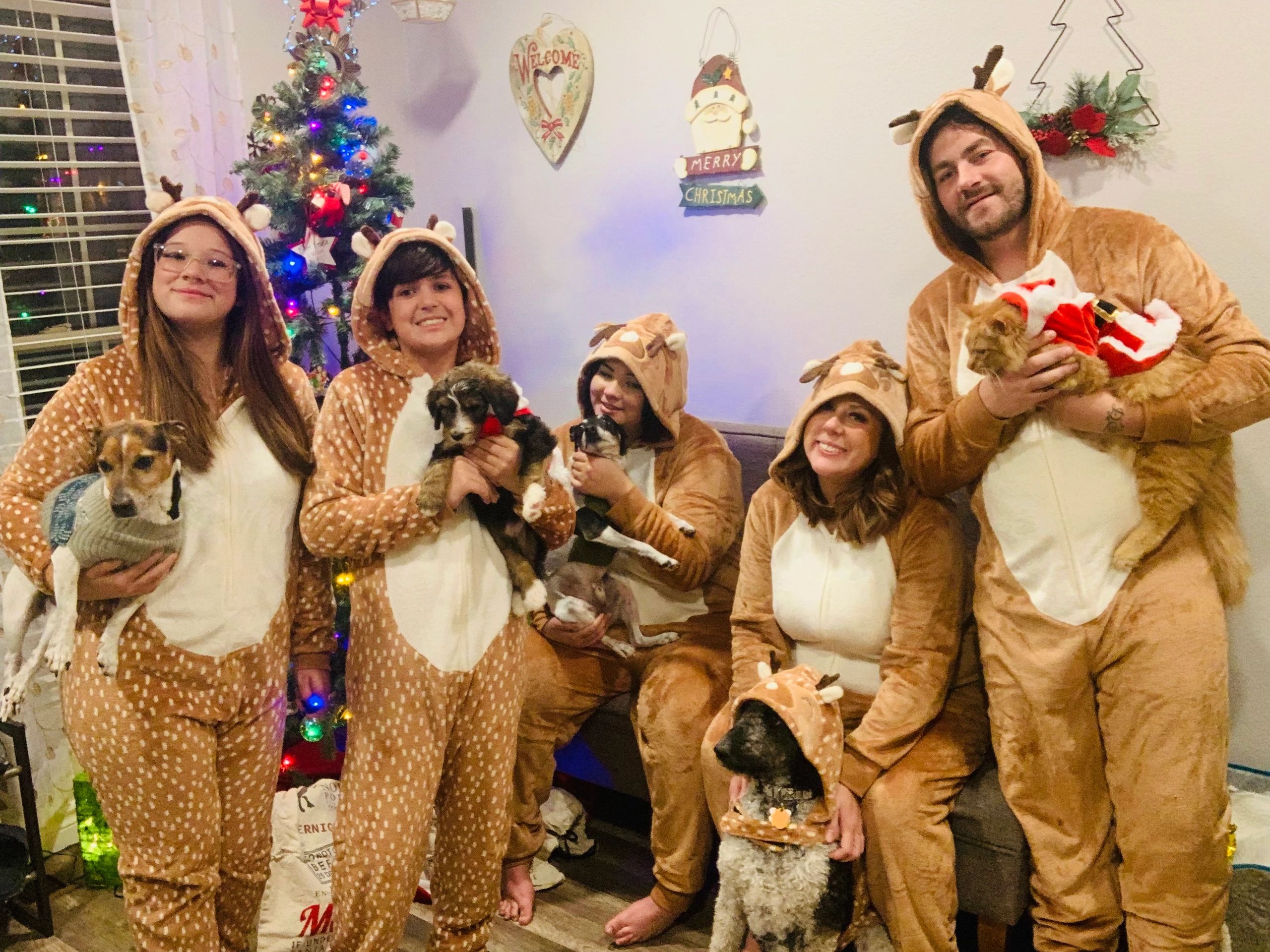 Breeding Resources - Darling Paws, LLC