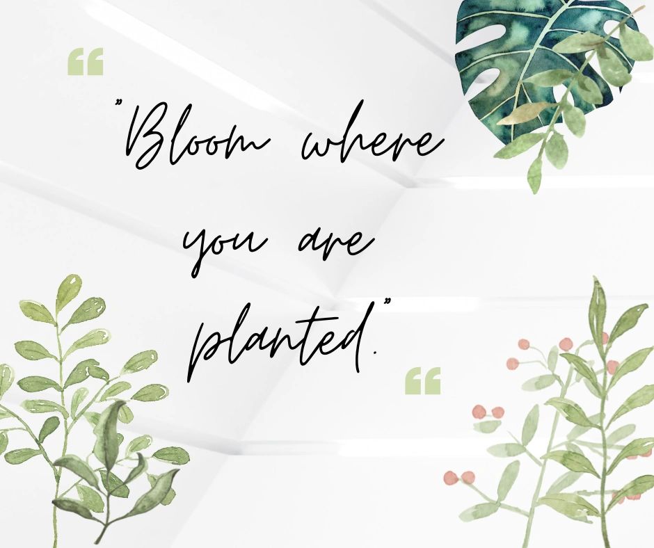 Blooming Where We Are Planted