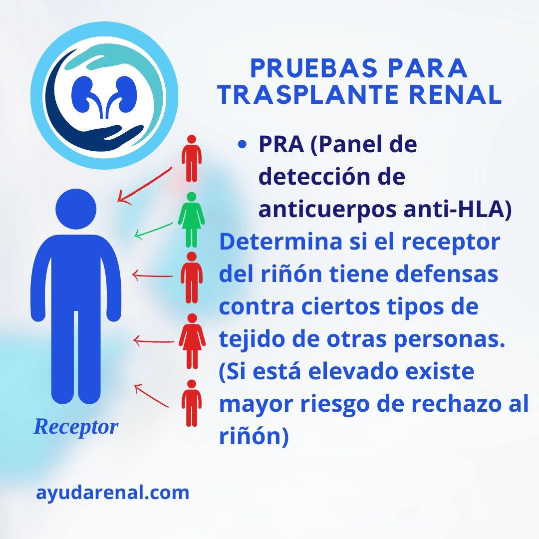 Detección de anticuerpos Anti–HLA (PRA)