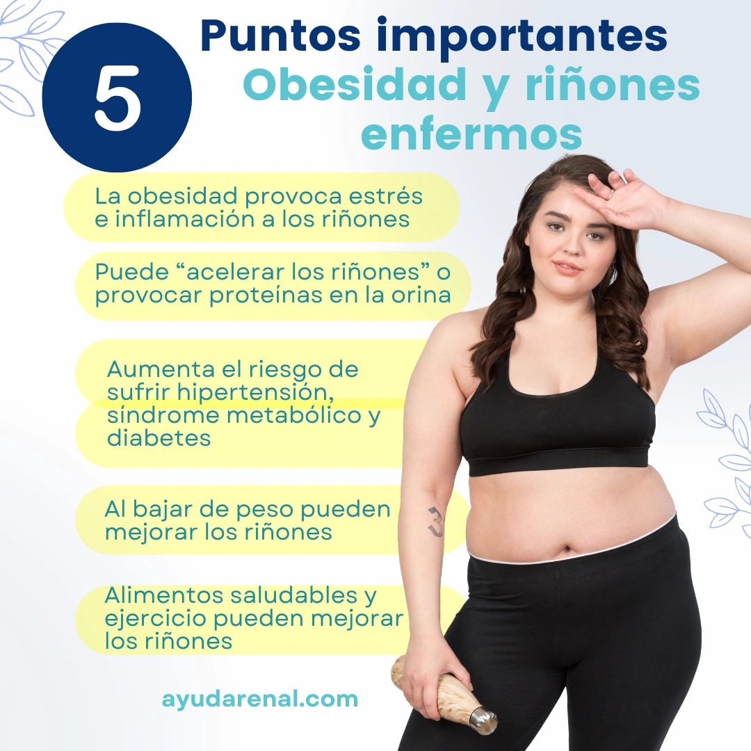 Obesidad y riñones