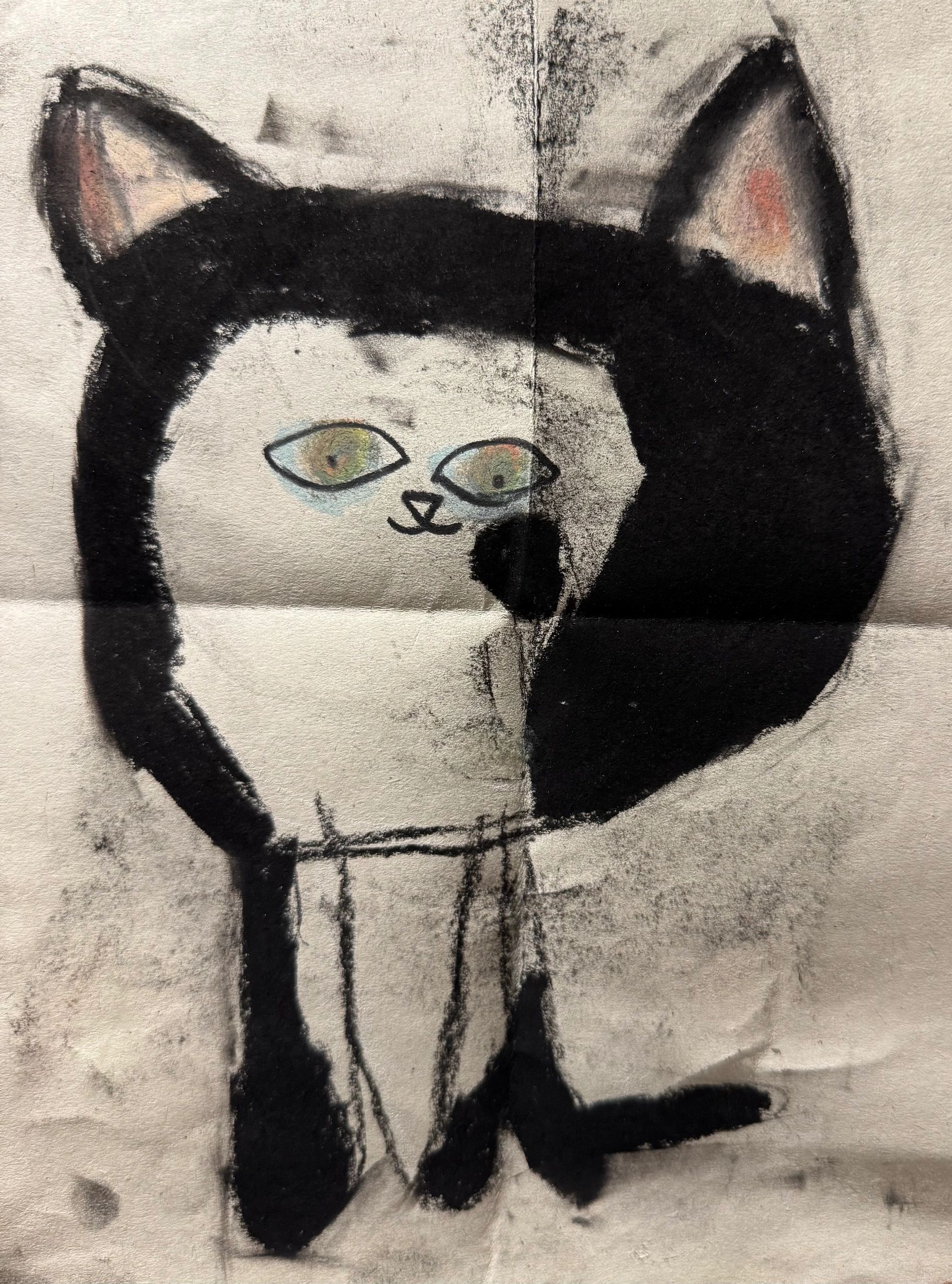 Dopey Cat
