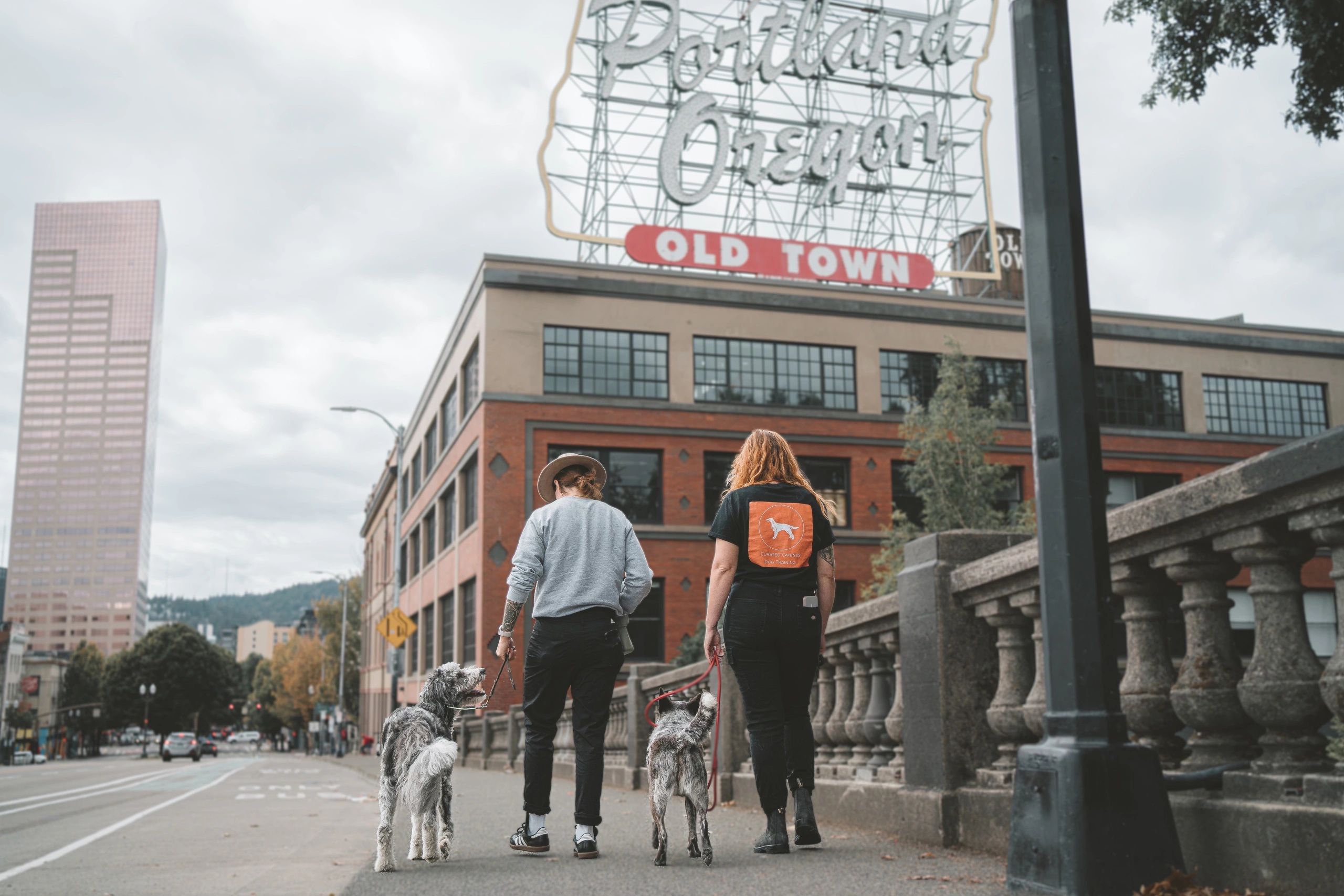 Curated Canines | Premium Dog Training & Board & Train in Portland, OR
