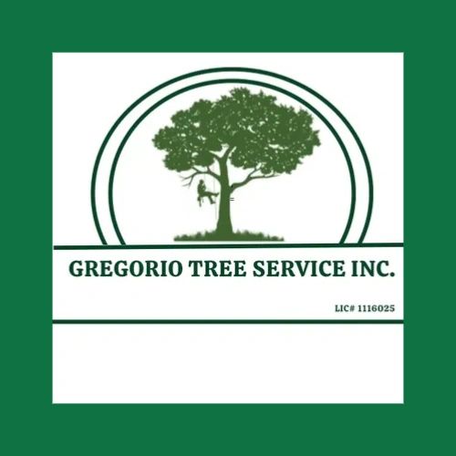 Gregorio Tree Service Inc - Professional Tree Trimming Service, Tree ...