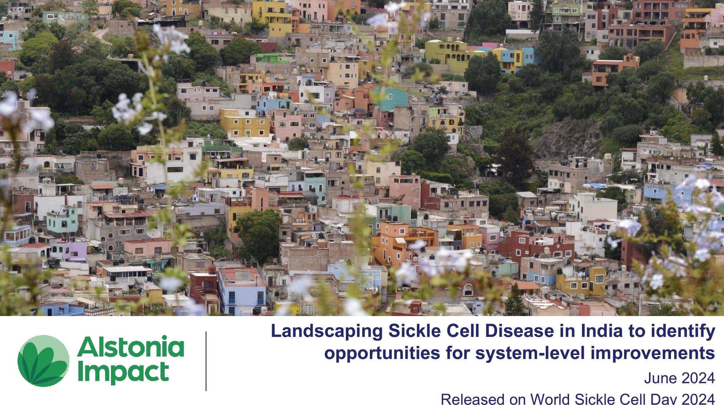 Landscaping Sickle Cell Disease in India