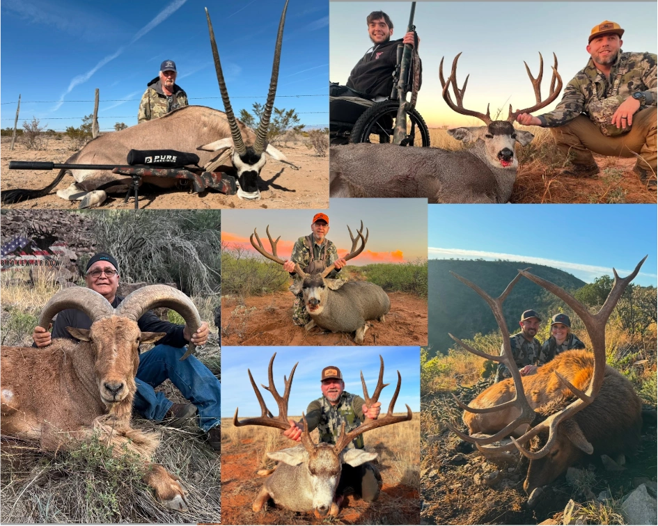 Exceptional Guided Hunts in New Mexico