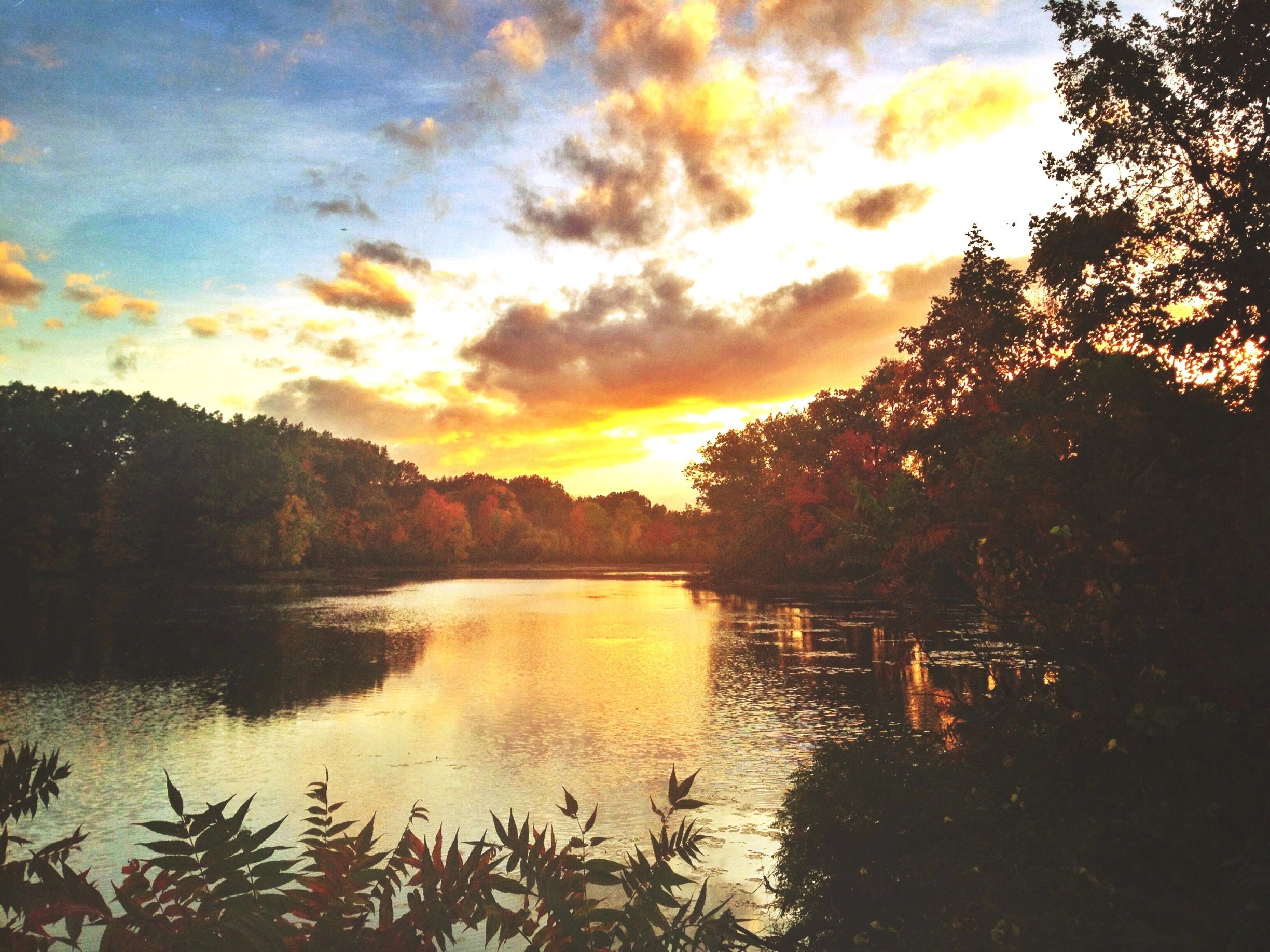 Bonnie L Atkins, LICSW