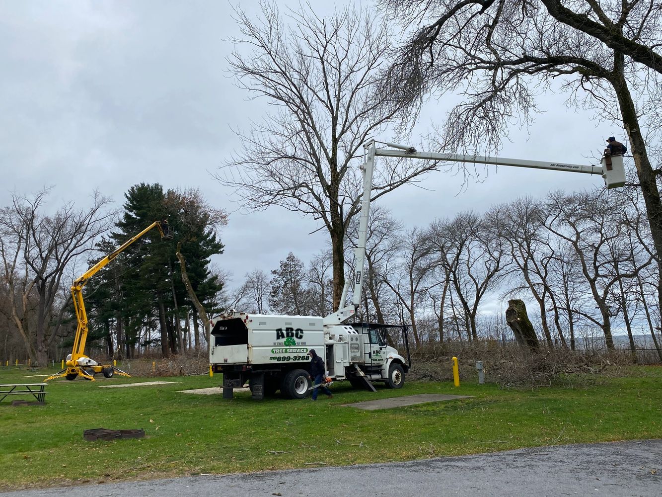 ABC Tree Service - Tree Service, Tree Removal, Tree Service