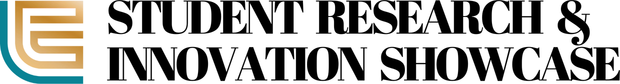 Leadership & Innovation Lab - High School, Projects for Students