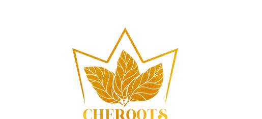 Cheroots Cigar Lounge
