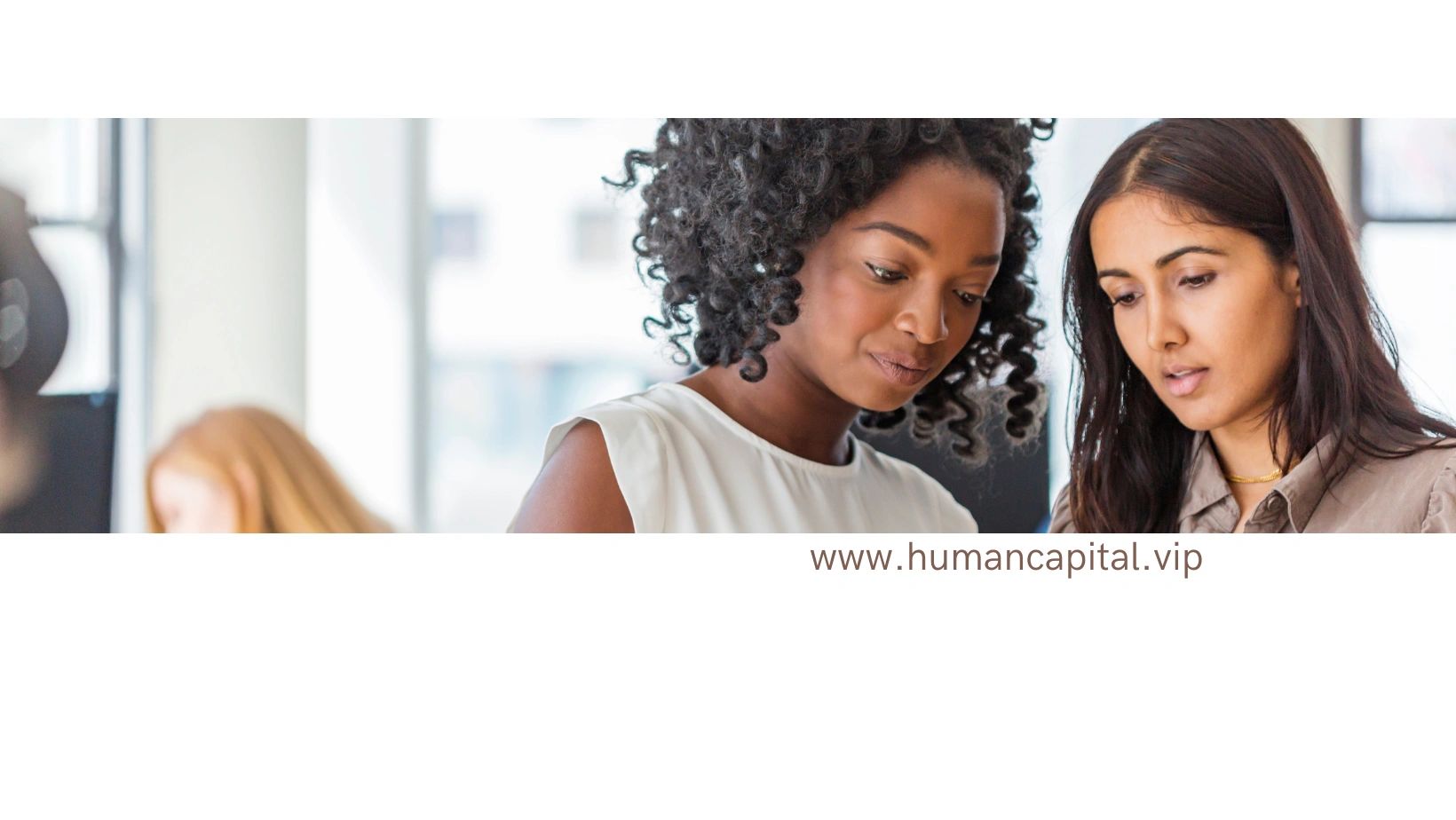 Human Capital Investment Strategy - Culture Change