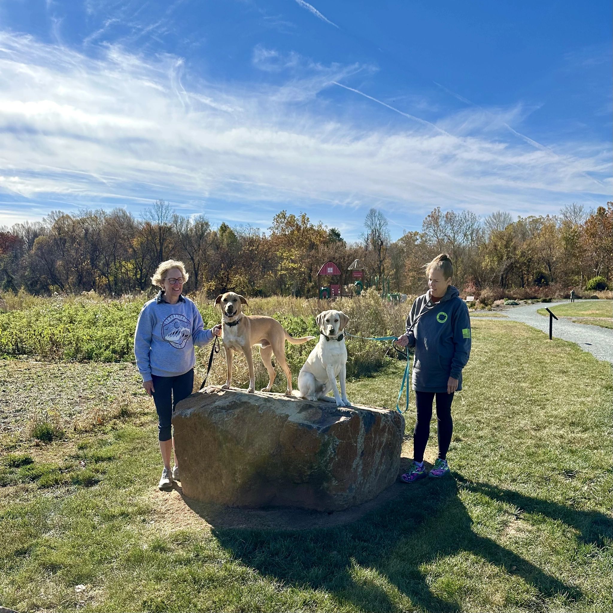 Dog Training - Level Up K9
