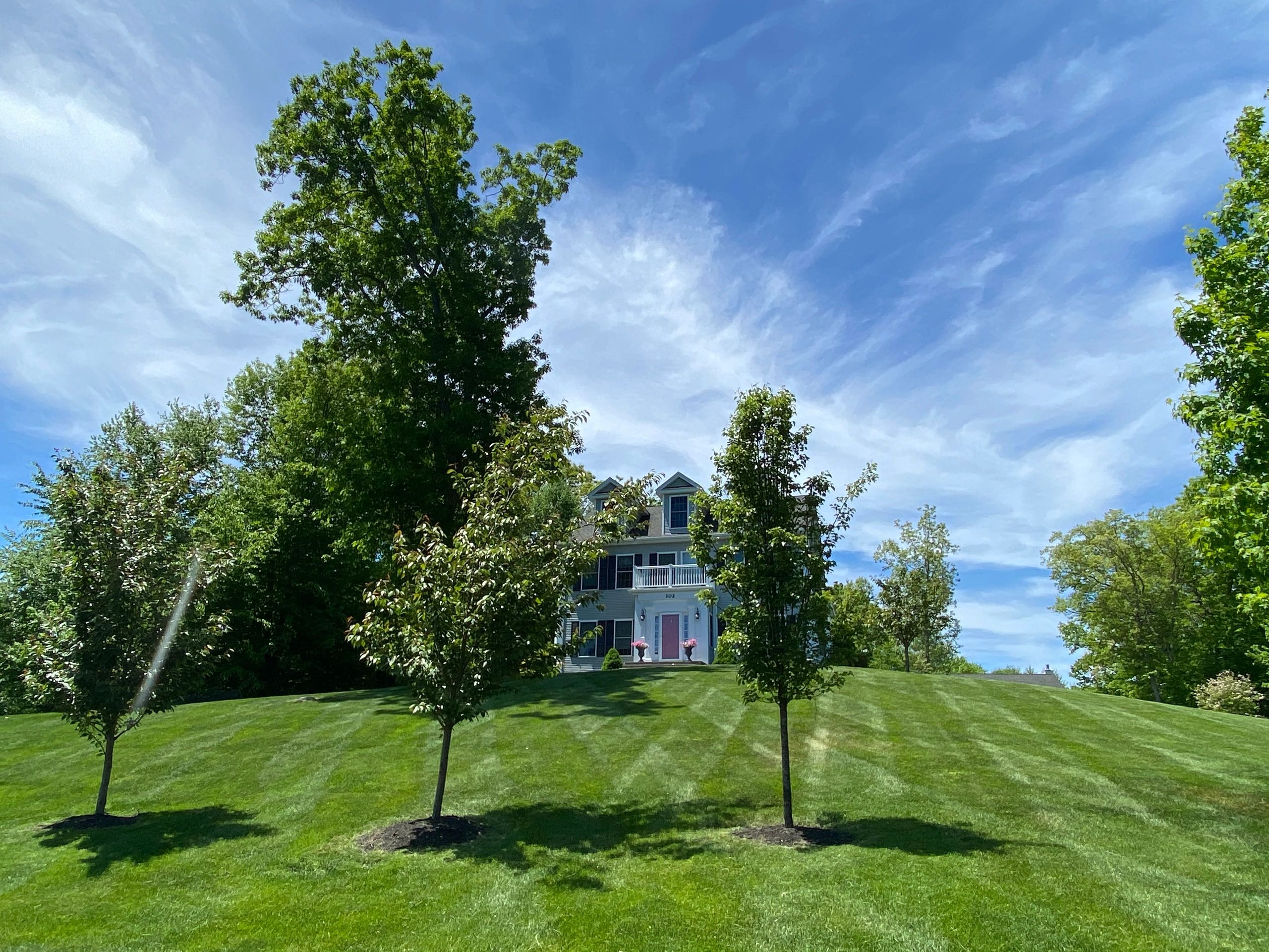 New England Lawn Experts LLC new-england-lawn-experts-llc