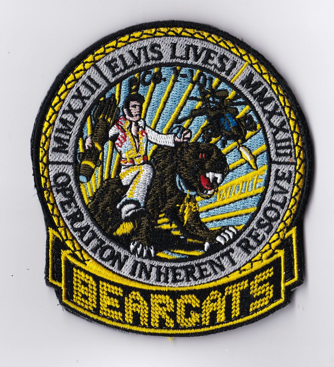 B Company 1-101st AVN Bearcats OIR patch