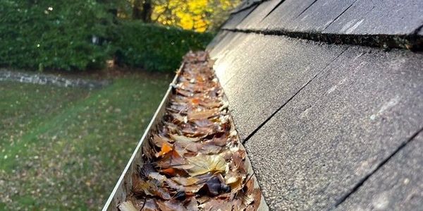 Trident Window Cleaning