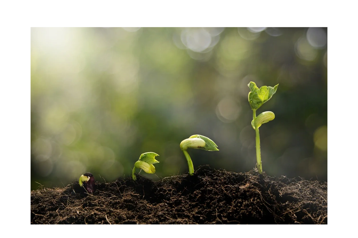 Feelosophy Counseling and Consulting - Home