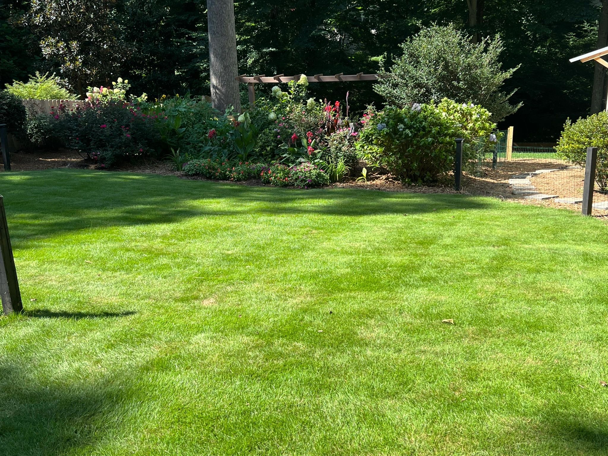 Professional Landscaping Services – Dirt Doctor Landscaping