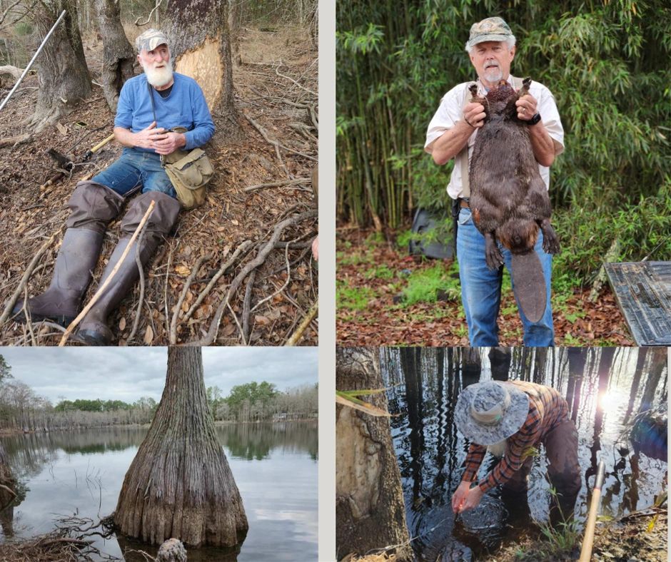 Managing North Florida Beavers