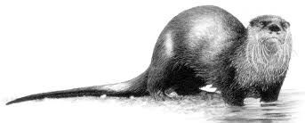 Florida Trappers Association, Inc