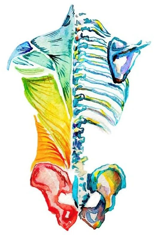 Dr. Derek Fay - Chiropractor - Home